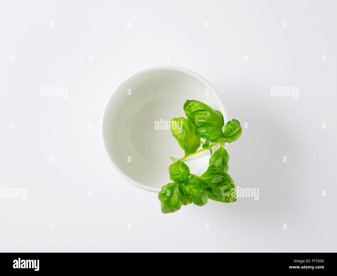 Sprig of basil leaves hi-res stock photography and images - Alamy