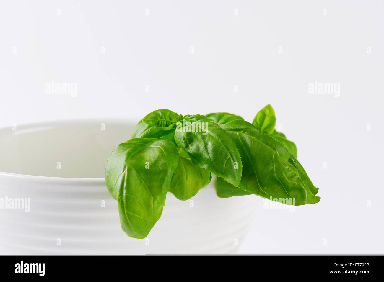 Sprig of basil leaves hi-res stock photography and images - Alamy
