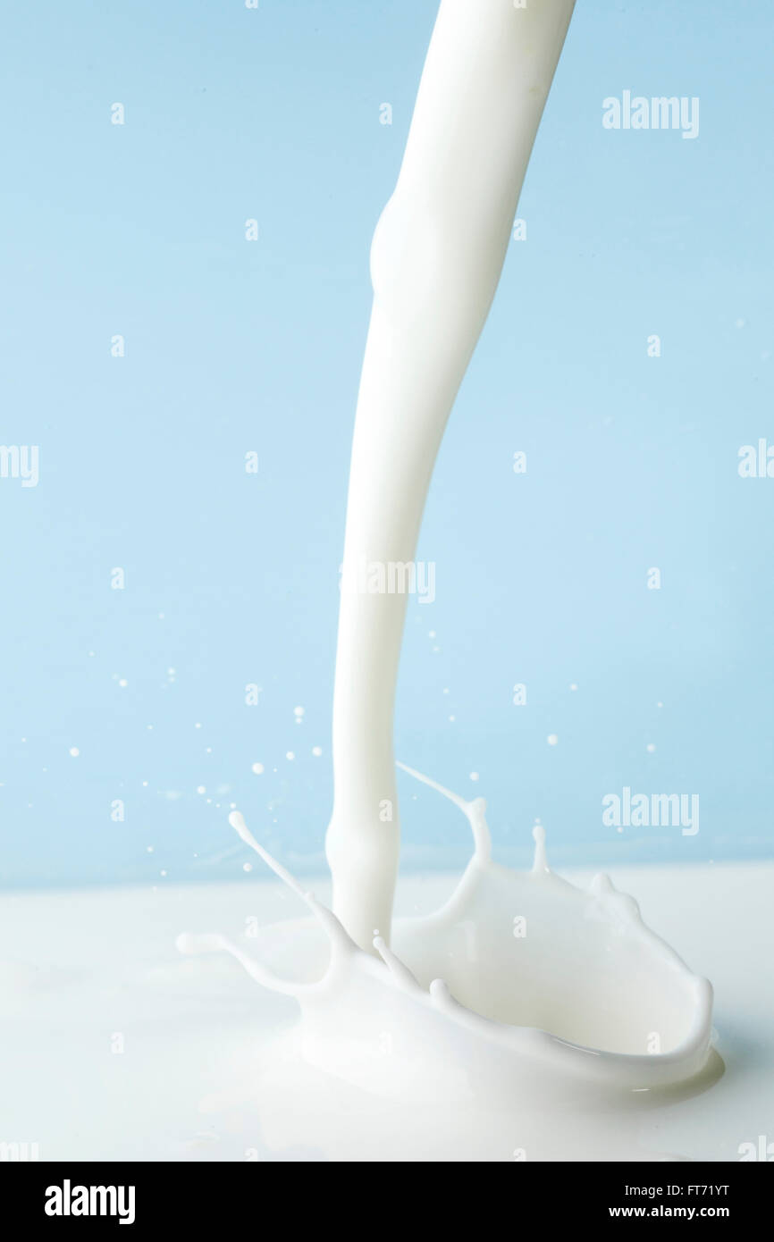 Pouring milk splash on blue background close-up Stock Photo - Alamy
