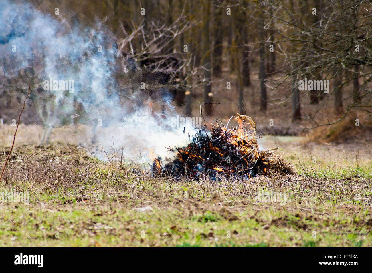 Fire which burned stick and leaves background Stock Photo - Alamy