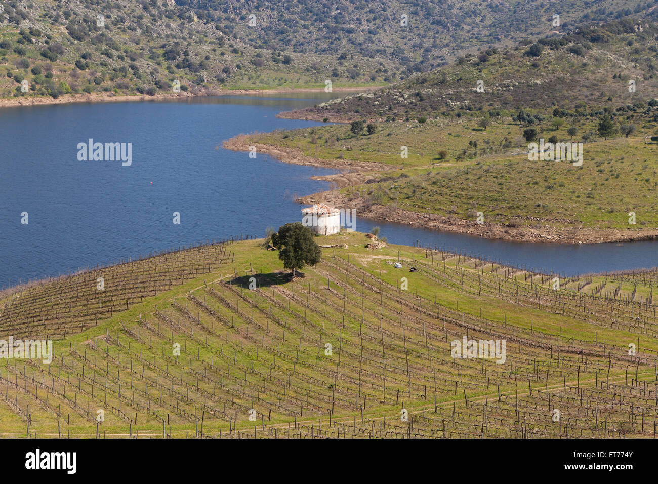 Duoro valley hi-res stock photography and images - Alamy