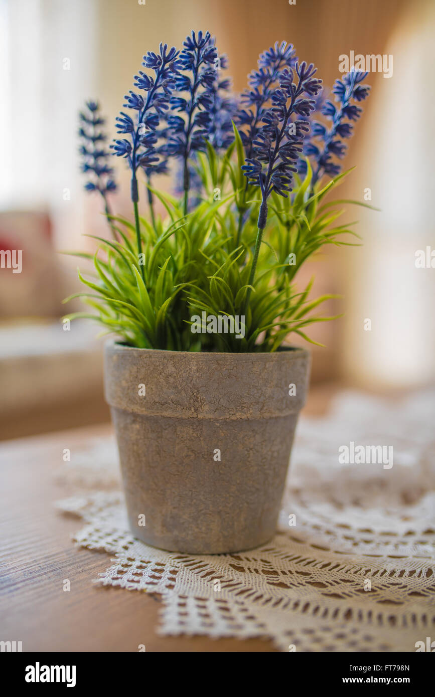 Tree On Office Table High Resolution Stock Photography and Images - Alamy