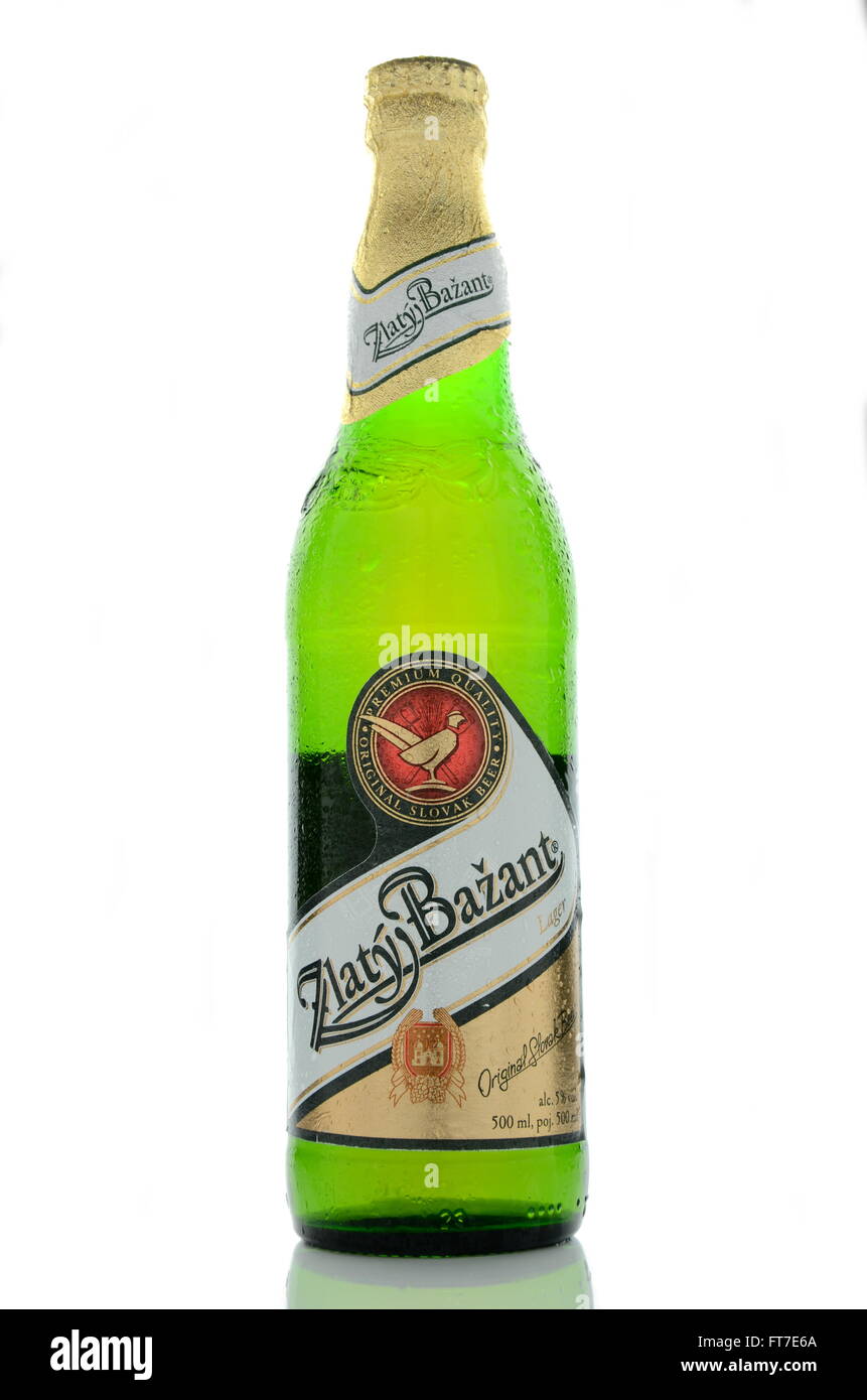 Zlaty Bazant beer isolated on white Stock Photo - Alamy
