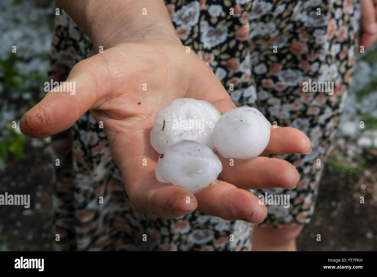 Hailstone hi-res stock photography and images - Alamy