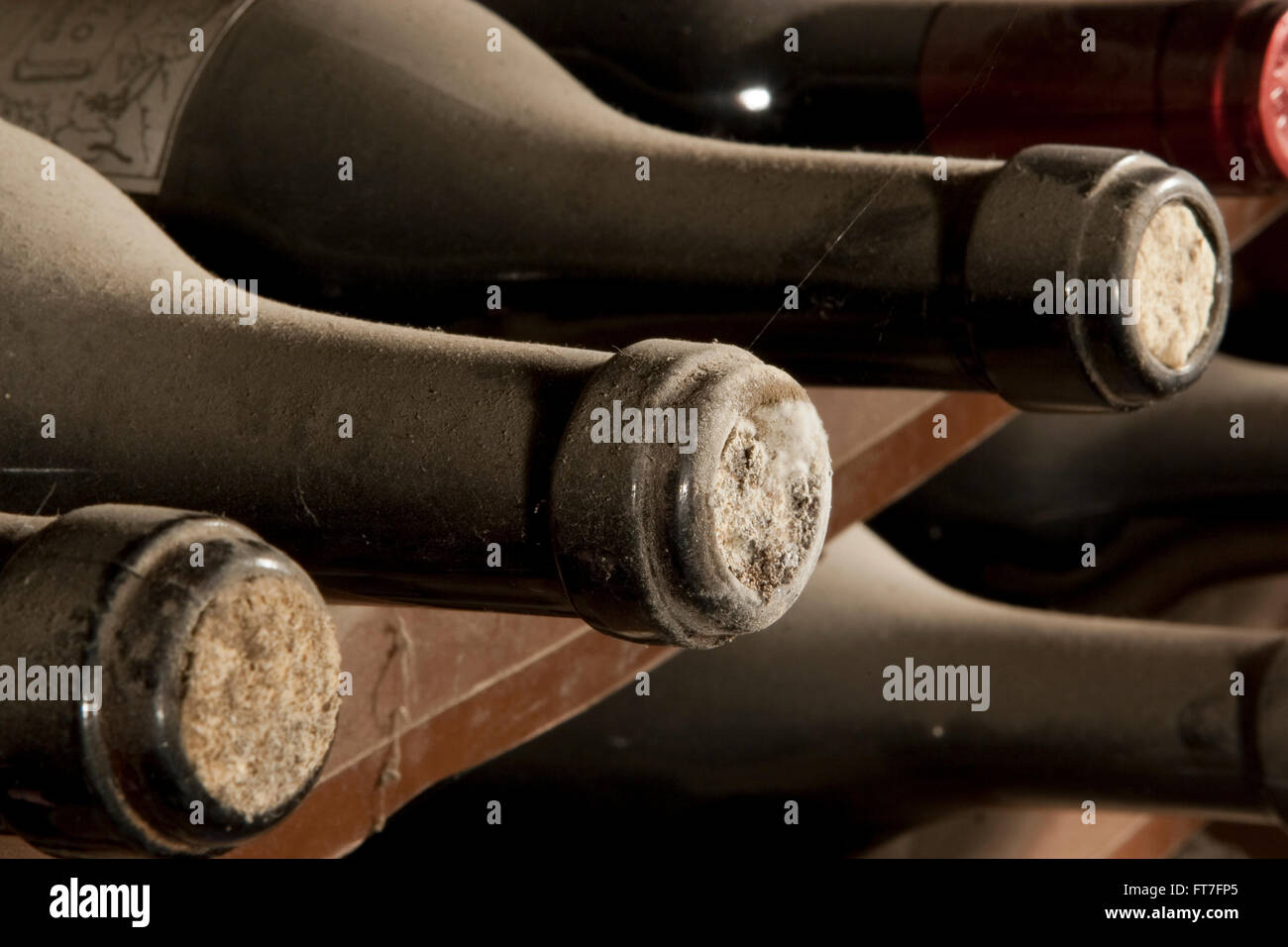 Old wine bottles with dust and mold Stock Photo - Alamy