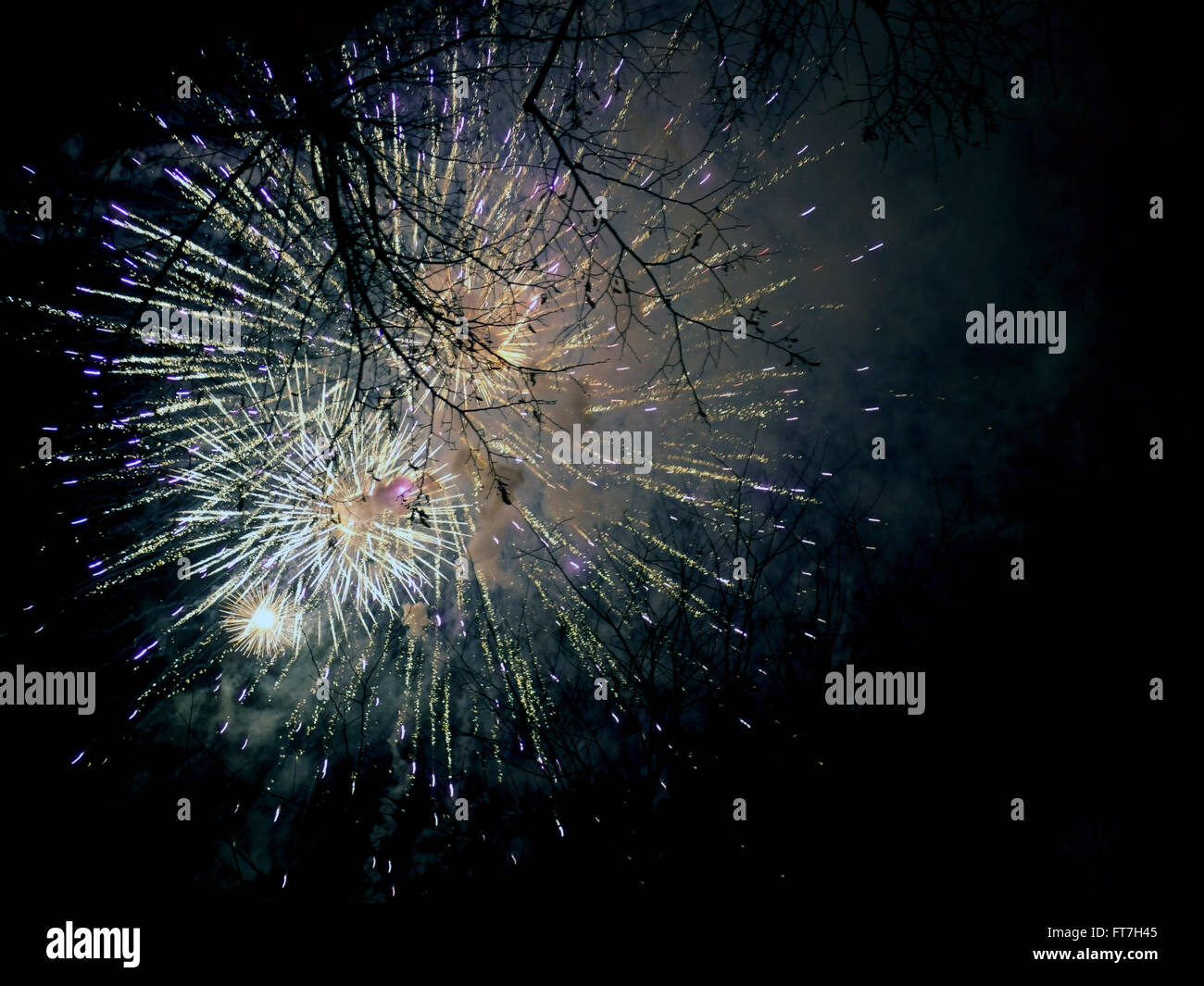 firework and tree Stock Photo - Alamy