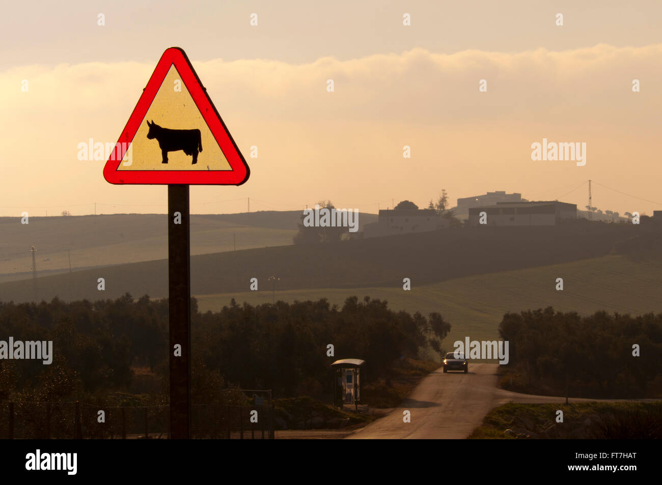 Cow road warning sign hi-res stock photography and images - Alamy