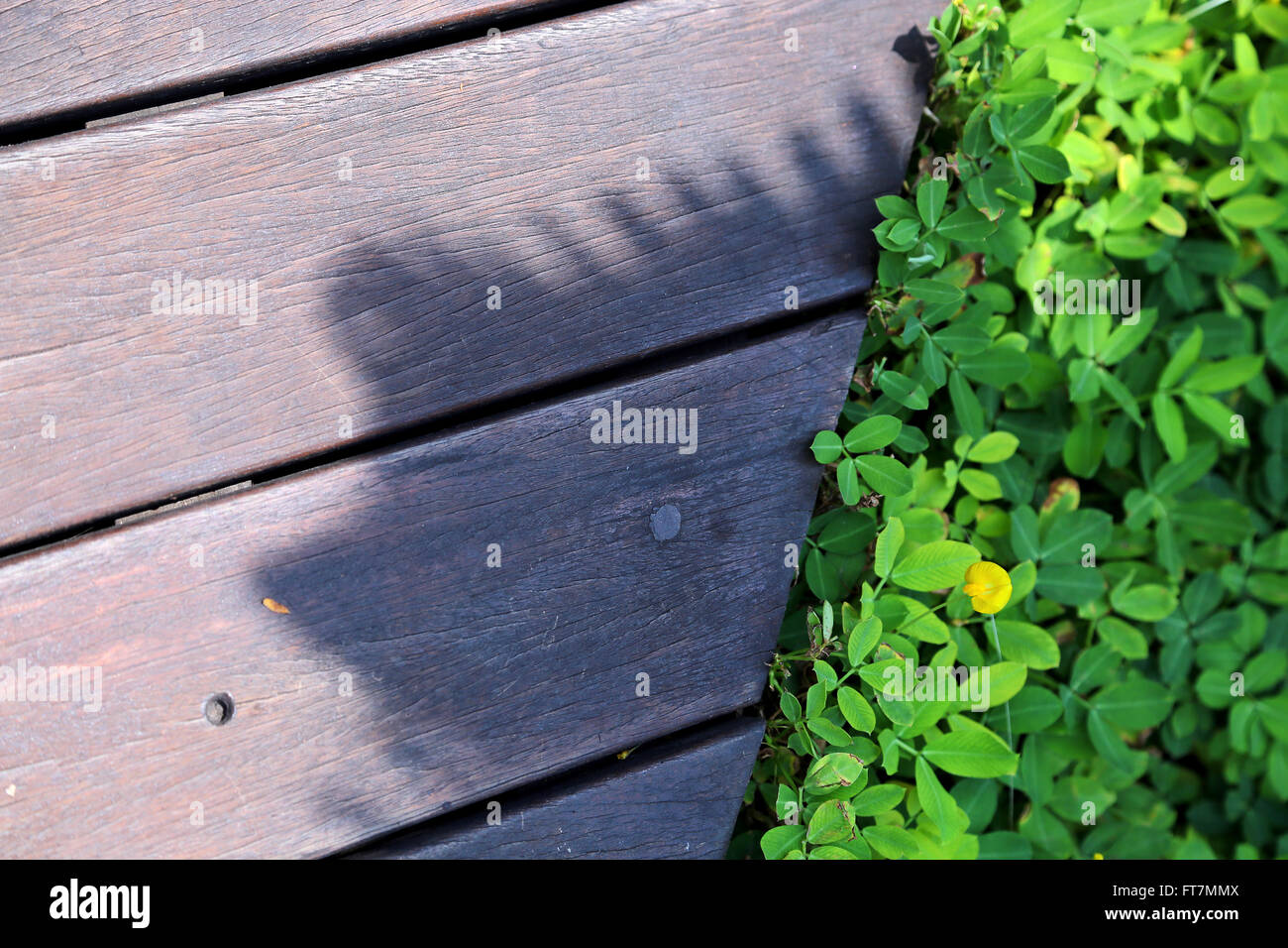 Grid Of Third High Resolution Stock Photography and Images - Alamy