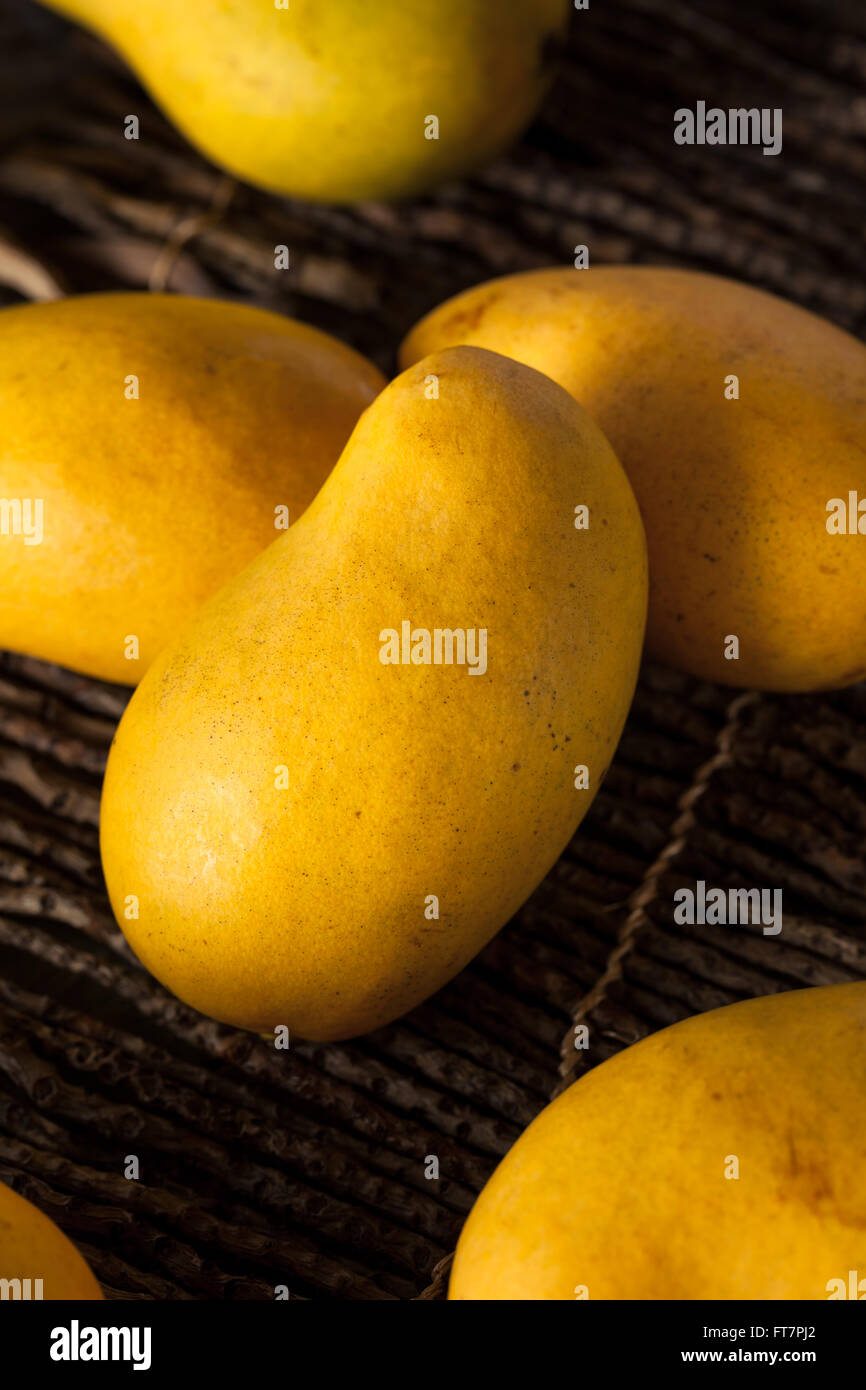 Raw Organic Yellow Mangos Ready to Eat Stock Photo - Alamy