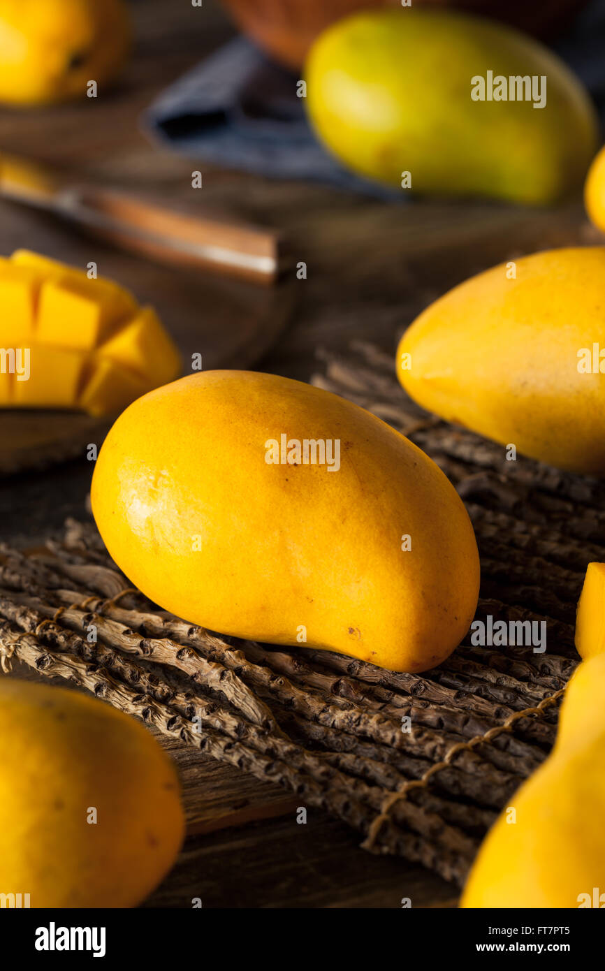 Raw Organic Yellow Mangos Ready to Eat Stock Photo - Alamy