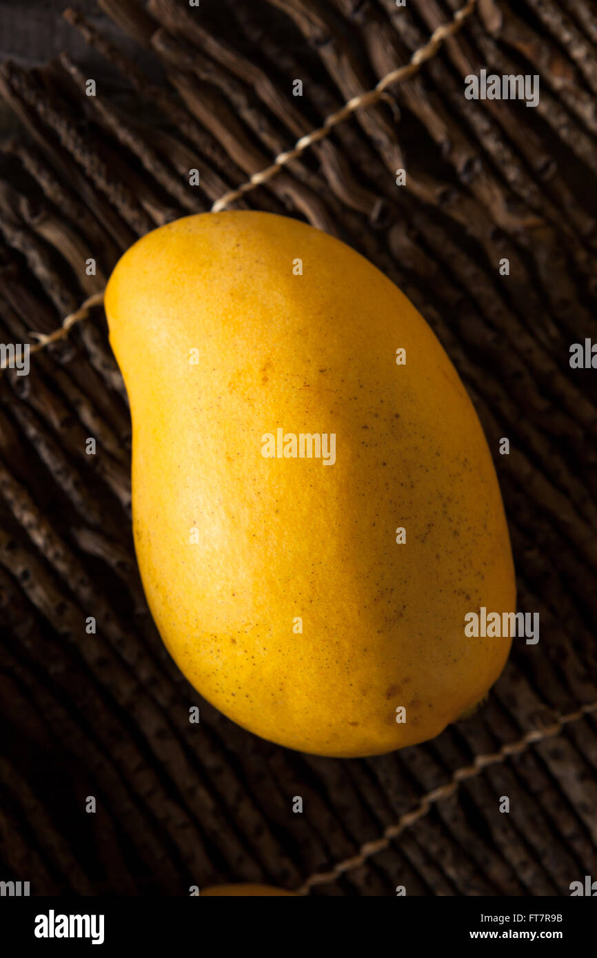 Raw Organic Yellow Mangos Ready to Eat Stock Photo - Alamy