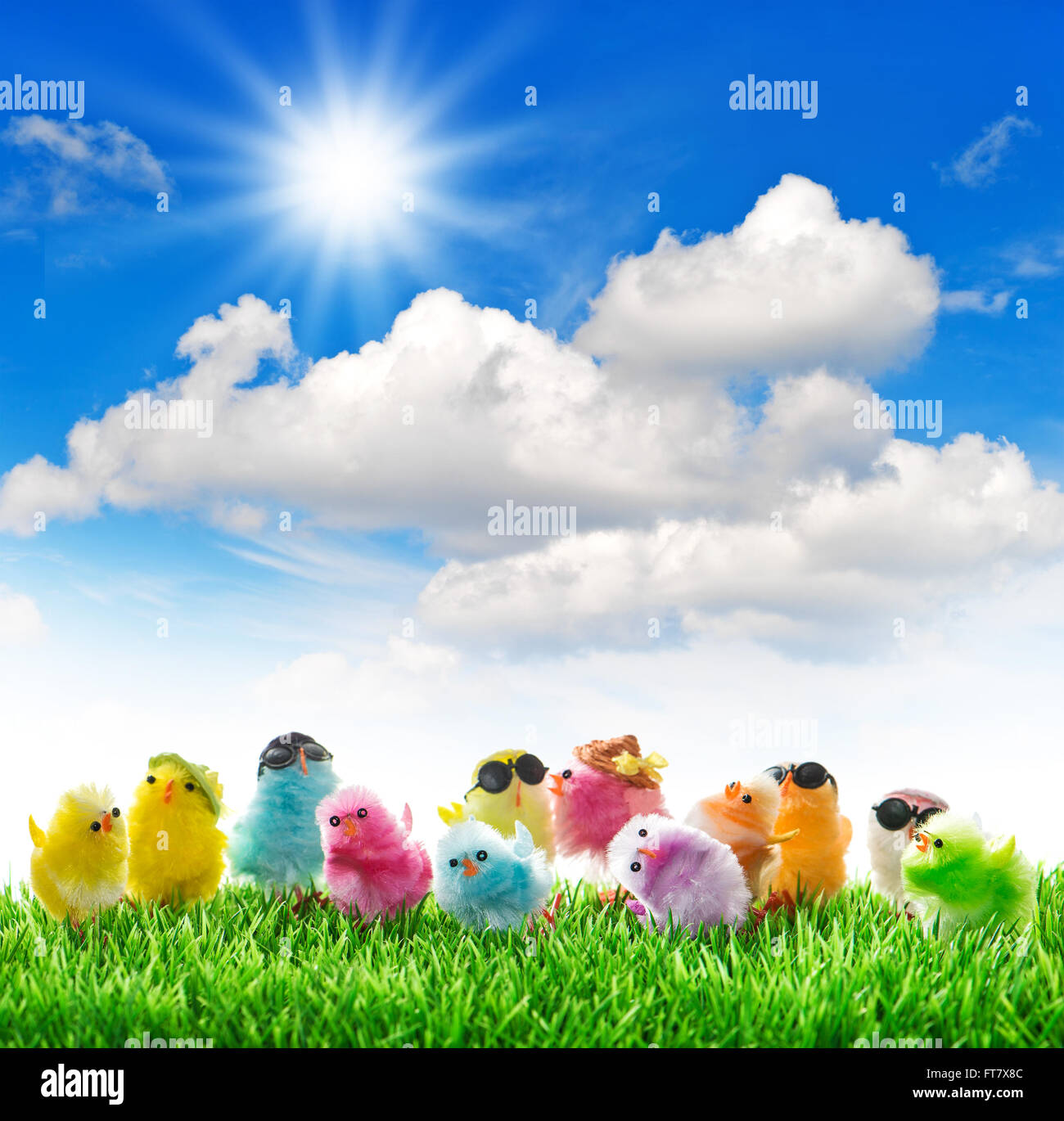 Easter chickens hi-res stock photography and images - Alamy