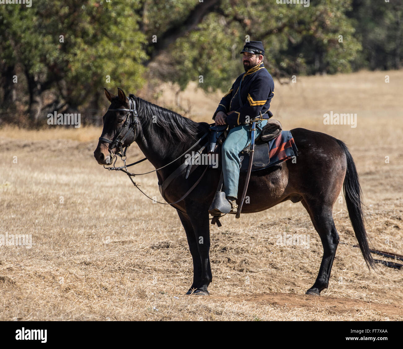 Union cavalry scout mounted for action at a Civil War Reenactment in ...