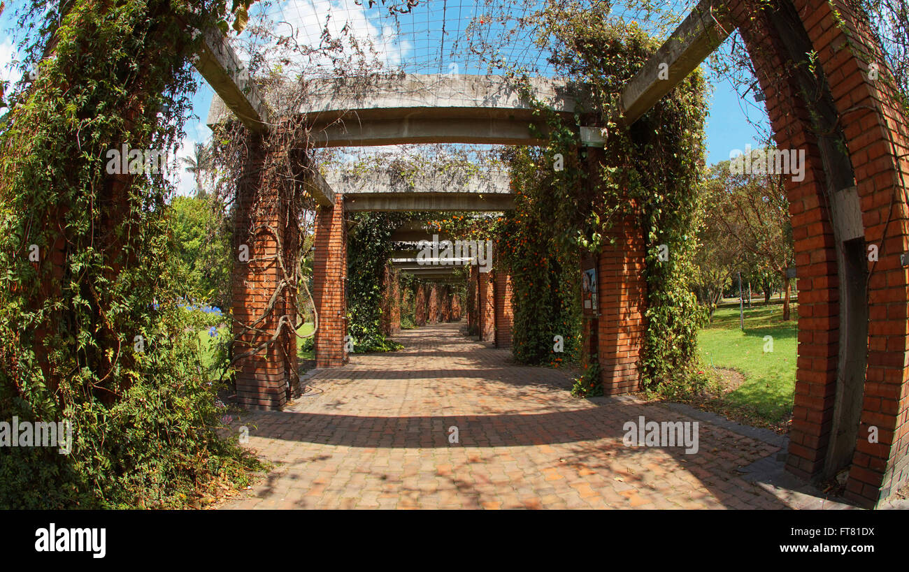 Walk in the Botanic Garden of Bogota Stock Photo - Alamy