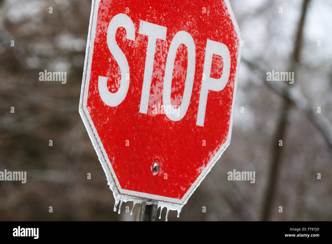Stop sign frozen rain on hi-res stock photography and images - Alamy