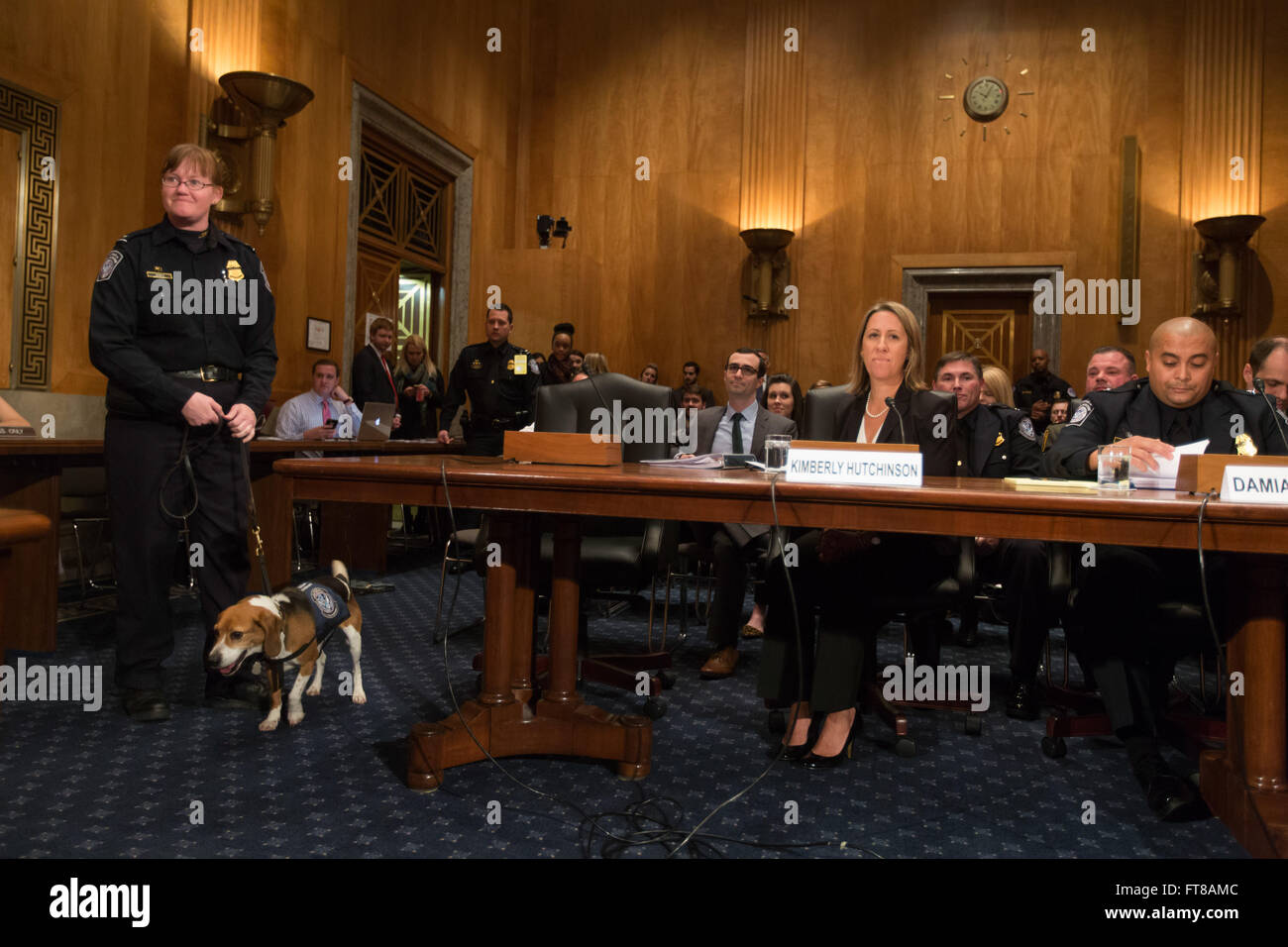 Cbp canine hi-res stock photography and images - Alamy