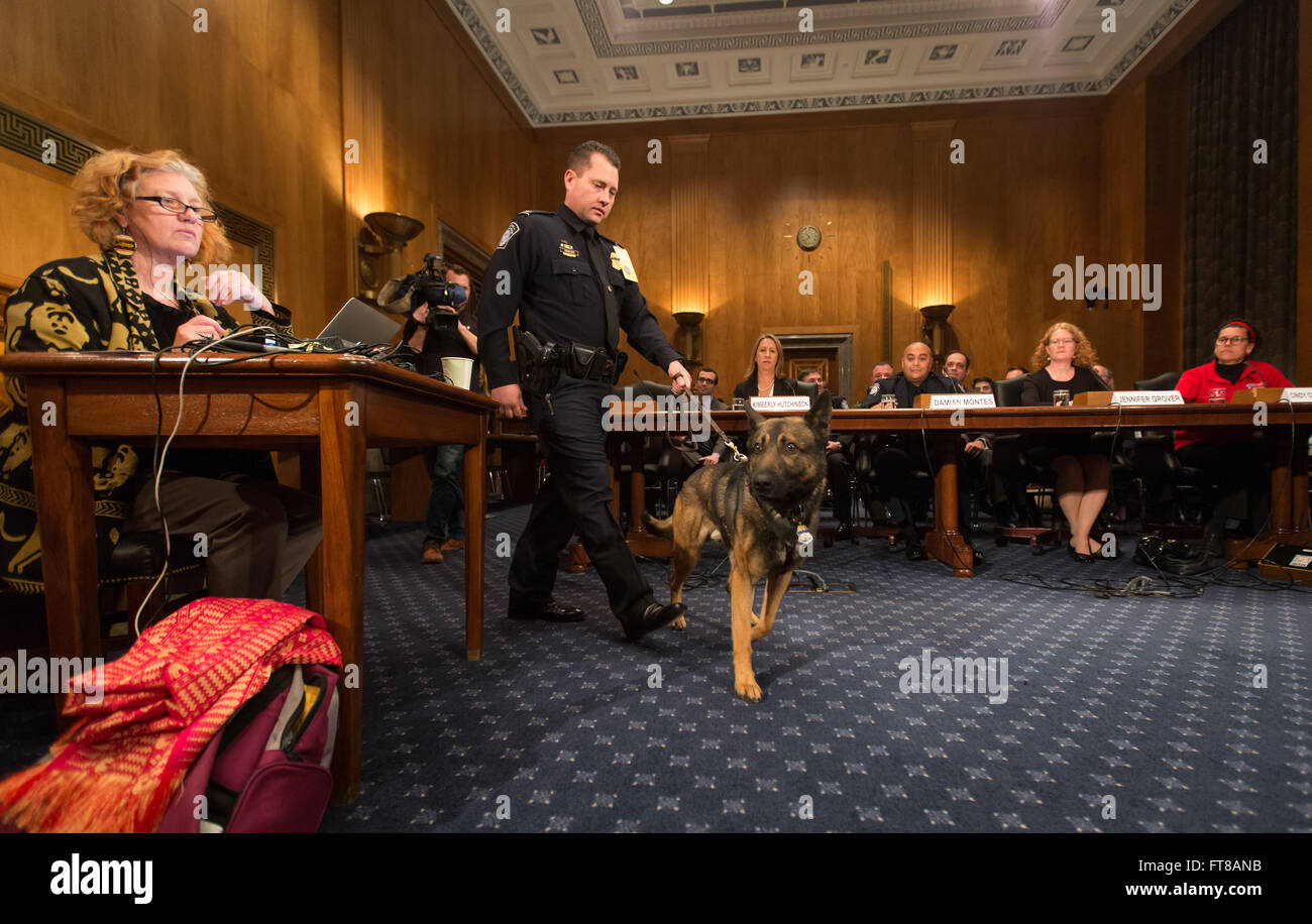 CBP Canine Officer Dowling and his partner Nicky demonstrate how a ...