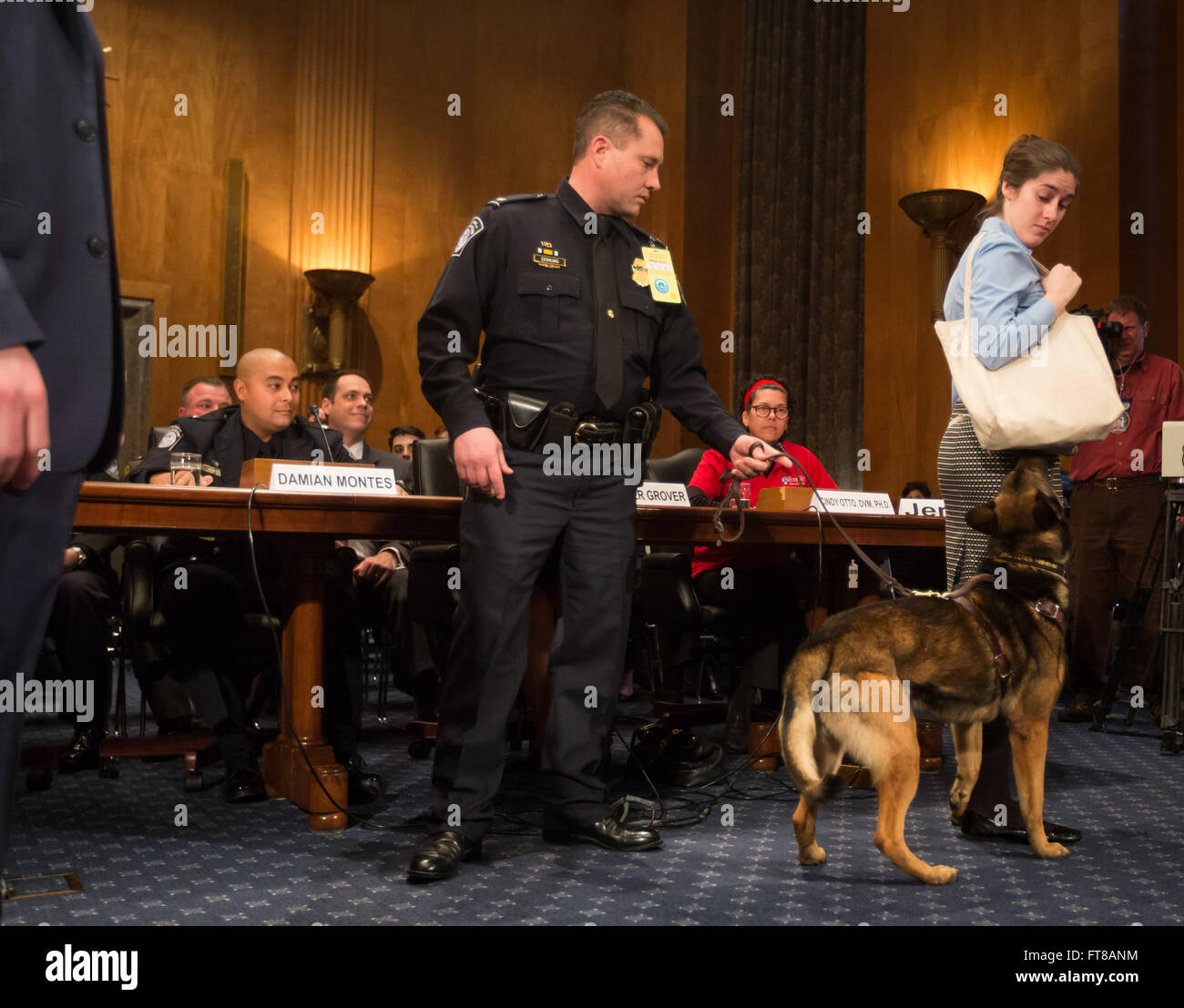CBP Canine Officer Dowling and his partner Nicky demonstrate how a ...