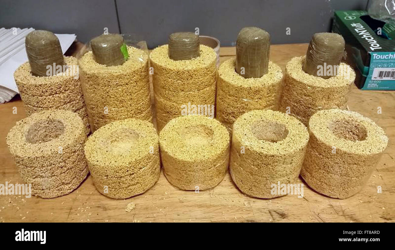 At John F. Kennedy International Airport in Jamaica, New York, U.S ...