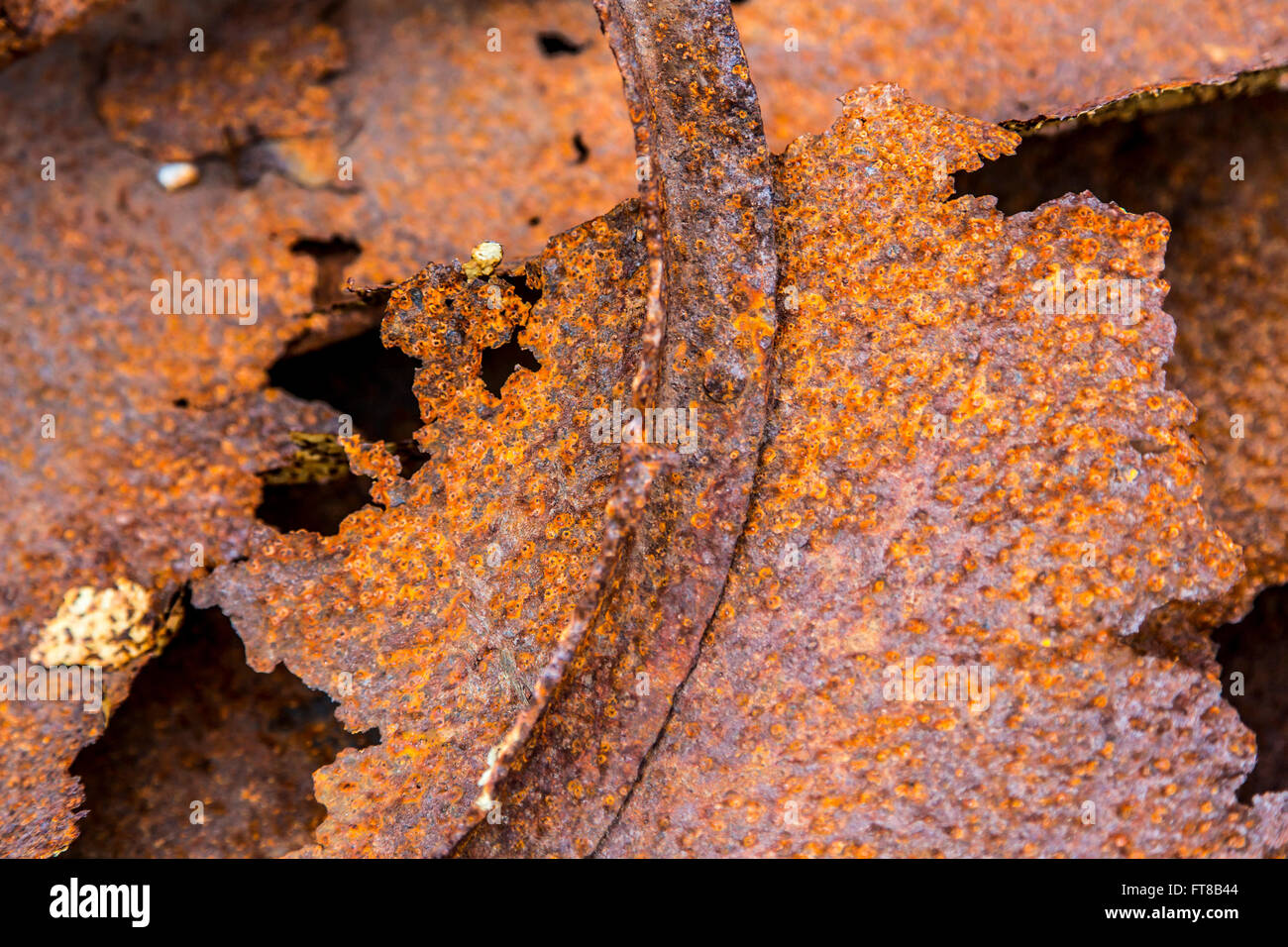 Heavy metal image hi-res stock photography and images - Alamy