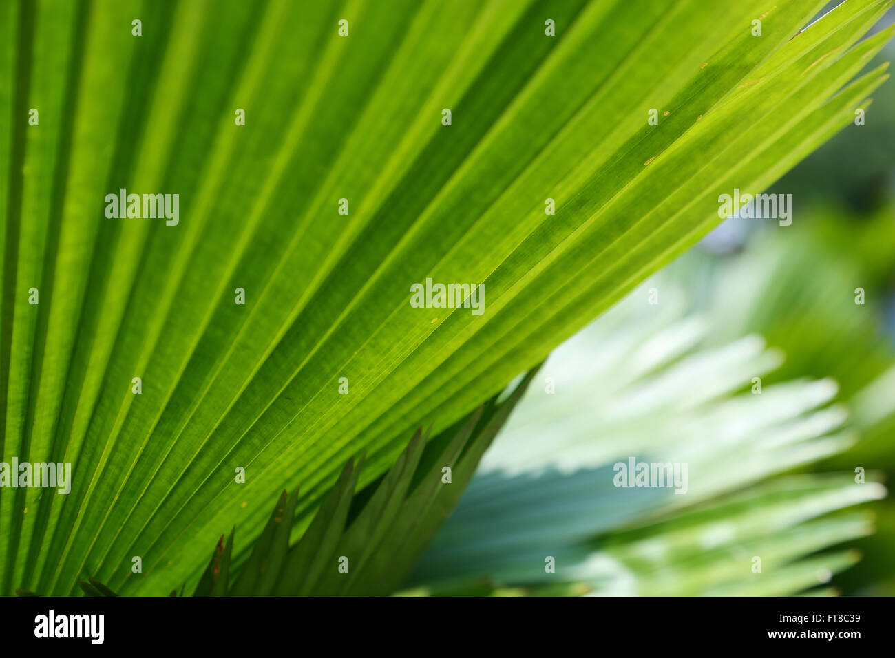 composition in photography, element design photo, line, diagonal ...