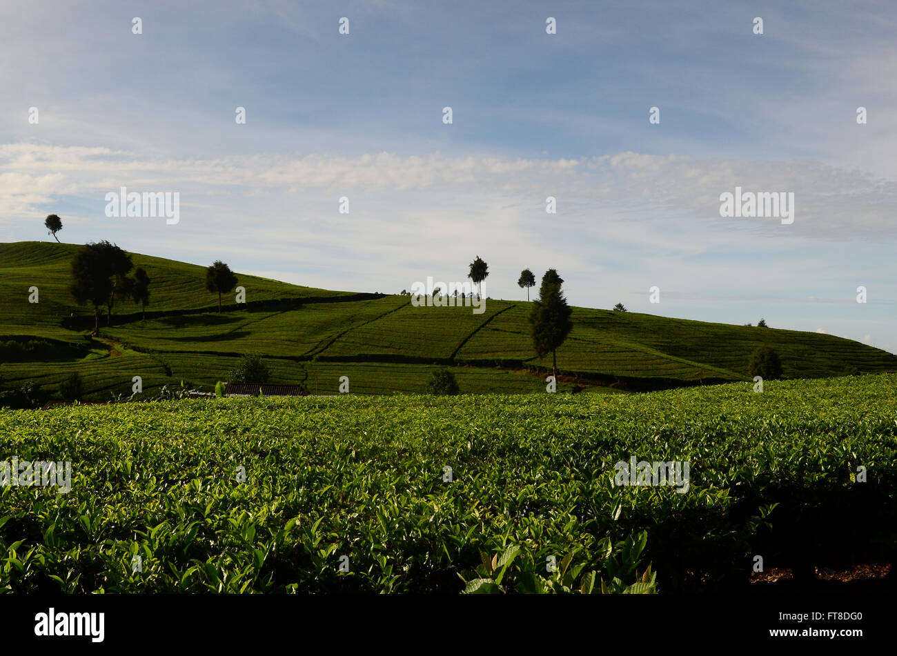 Beauty of indonesia hi-res stock photography and images - Alamy