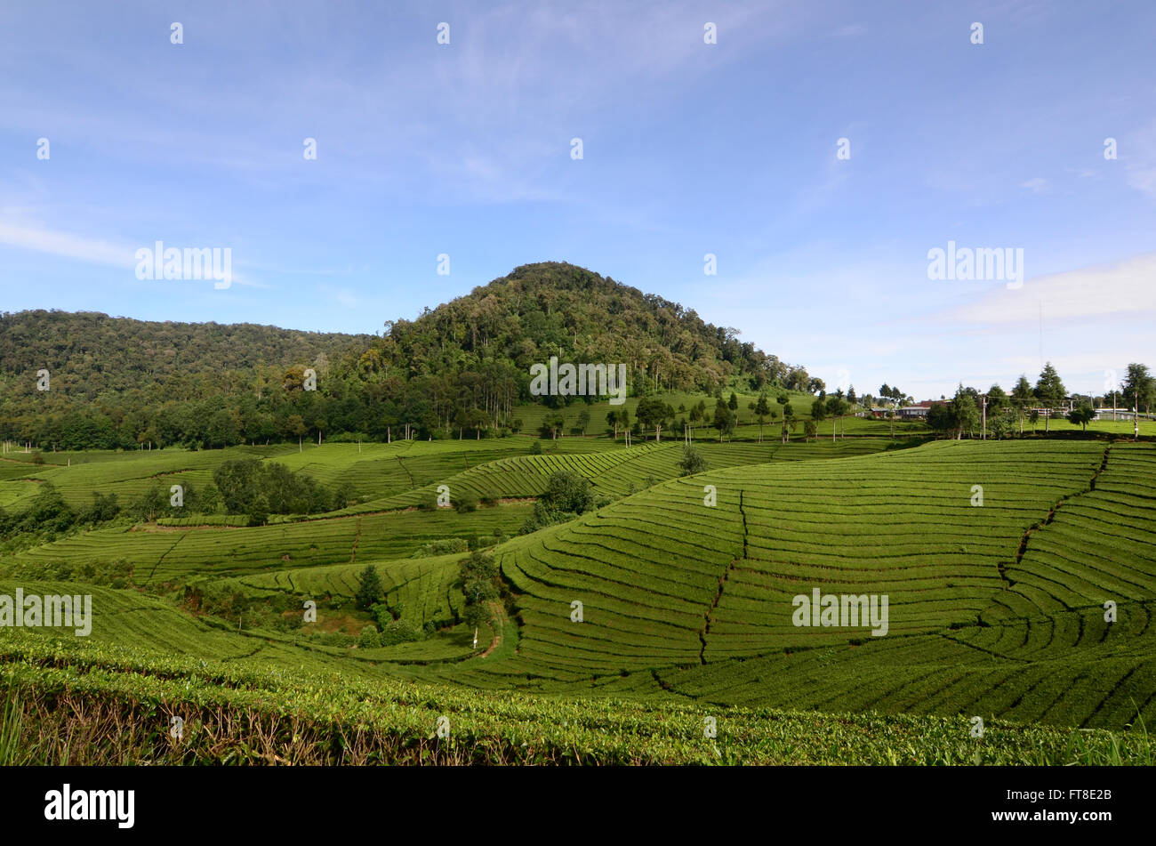 Beauty Of Bandung High Resolution Stock Photography and Images - Alamy
