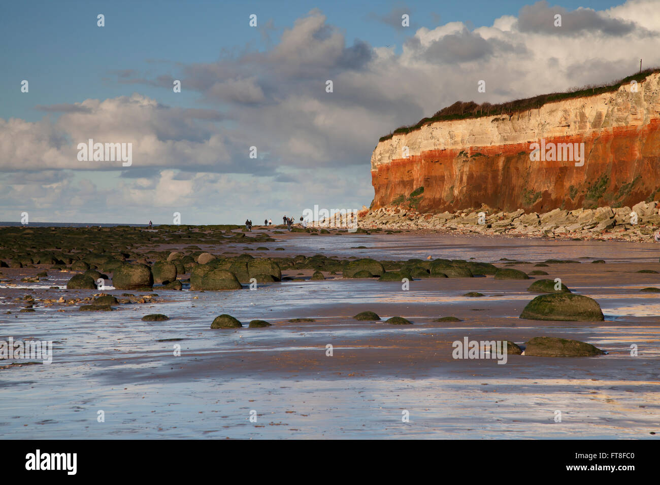 Hunstanton beach with the seaweed covered boulders and the carstone ...