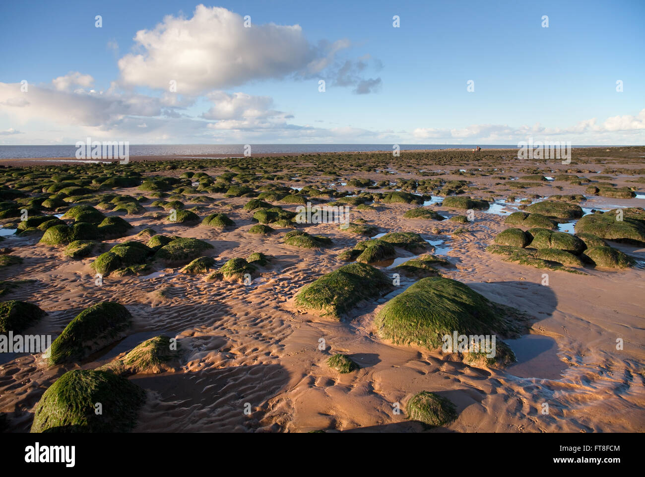 Hunstanton beach with the seaweed covered boulders and the carstone ...