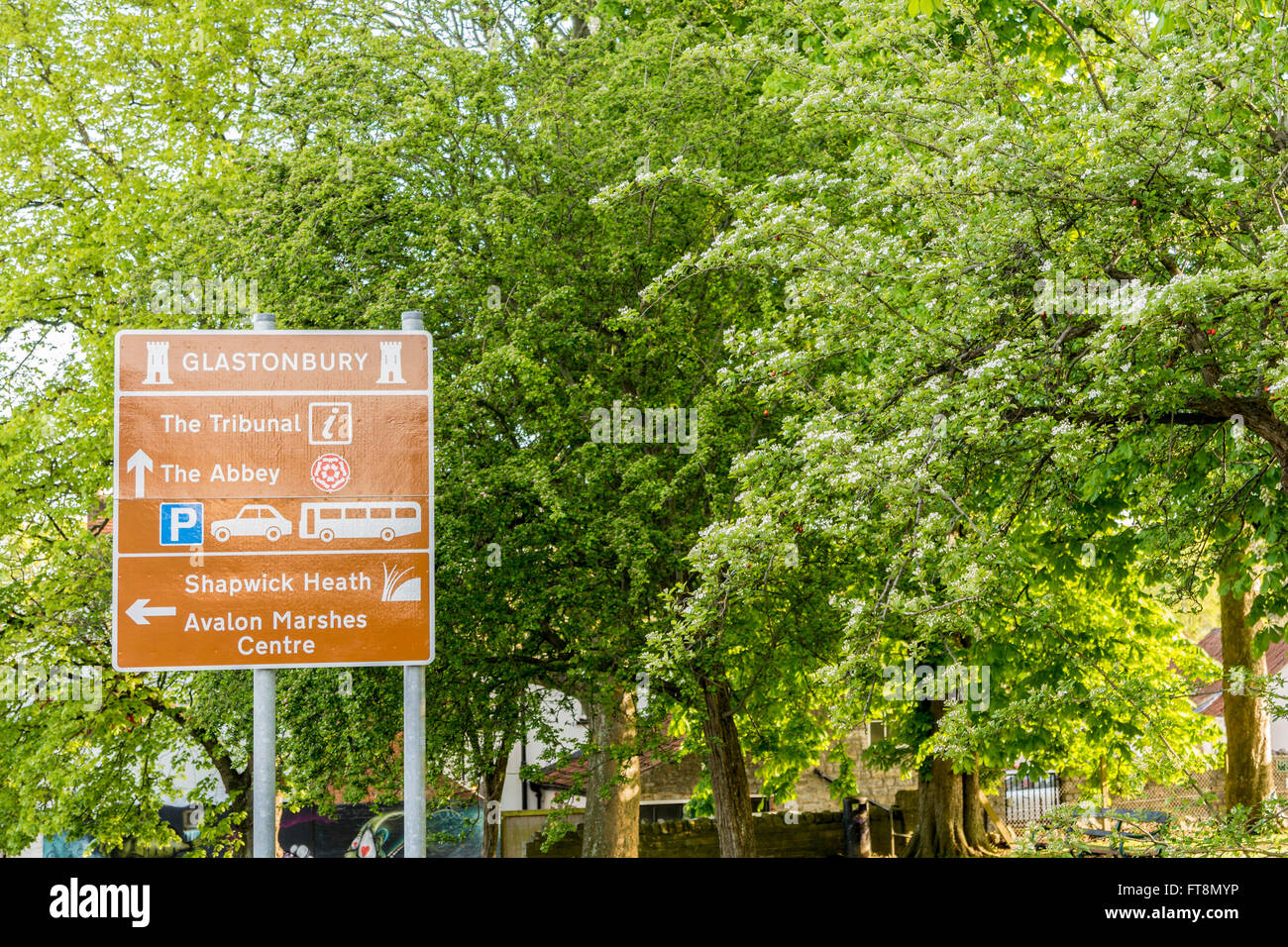 Road traffic sign on the A361, Glastonbury, Somerset Stock Photo - Alamy