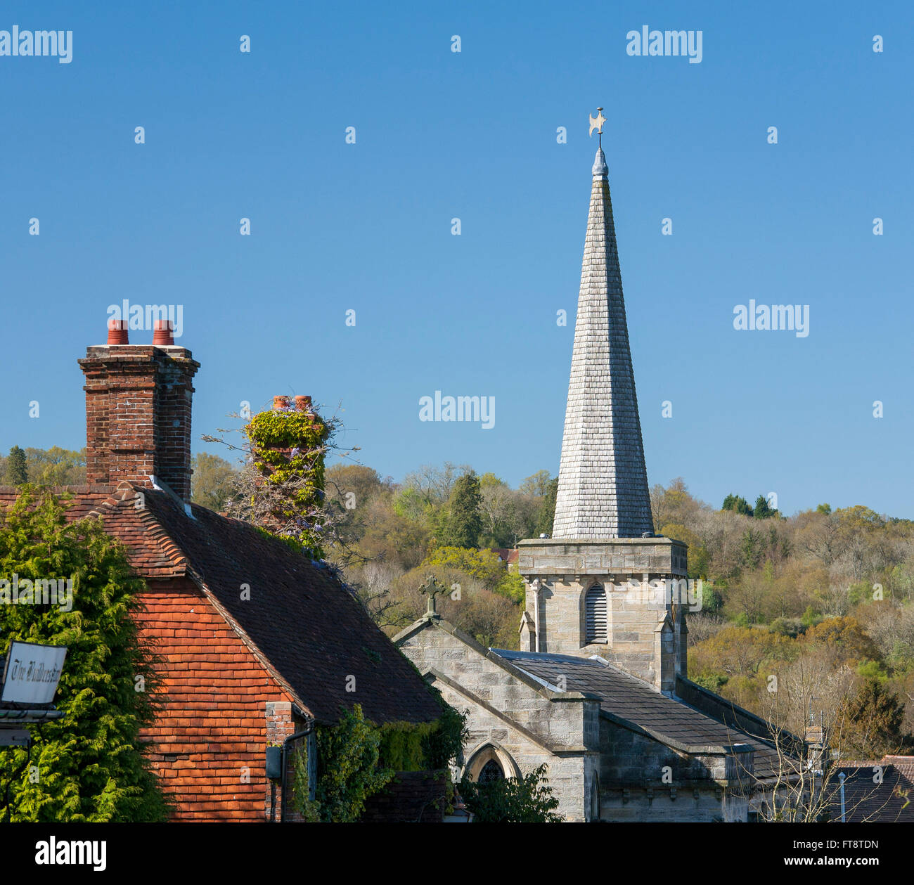 Forest row hi-res stock photography and images - Alamy