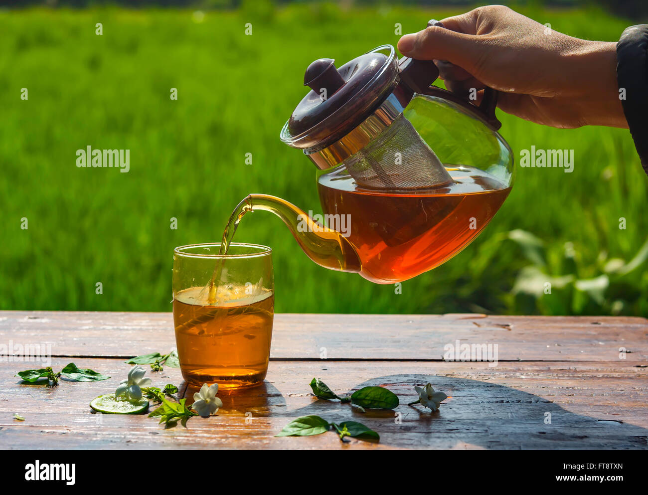 Enjoying traditional tea hi-res stock photography and images - Alamy