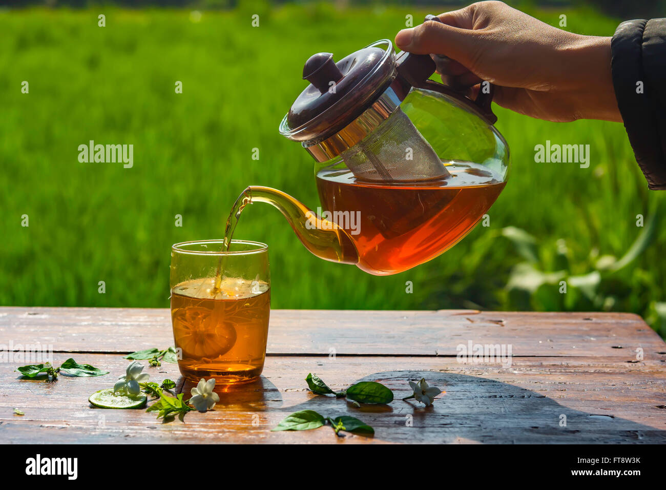enjoying tea in the morning Stock Photo - Alamy