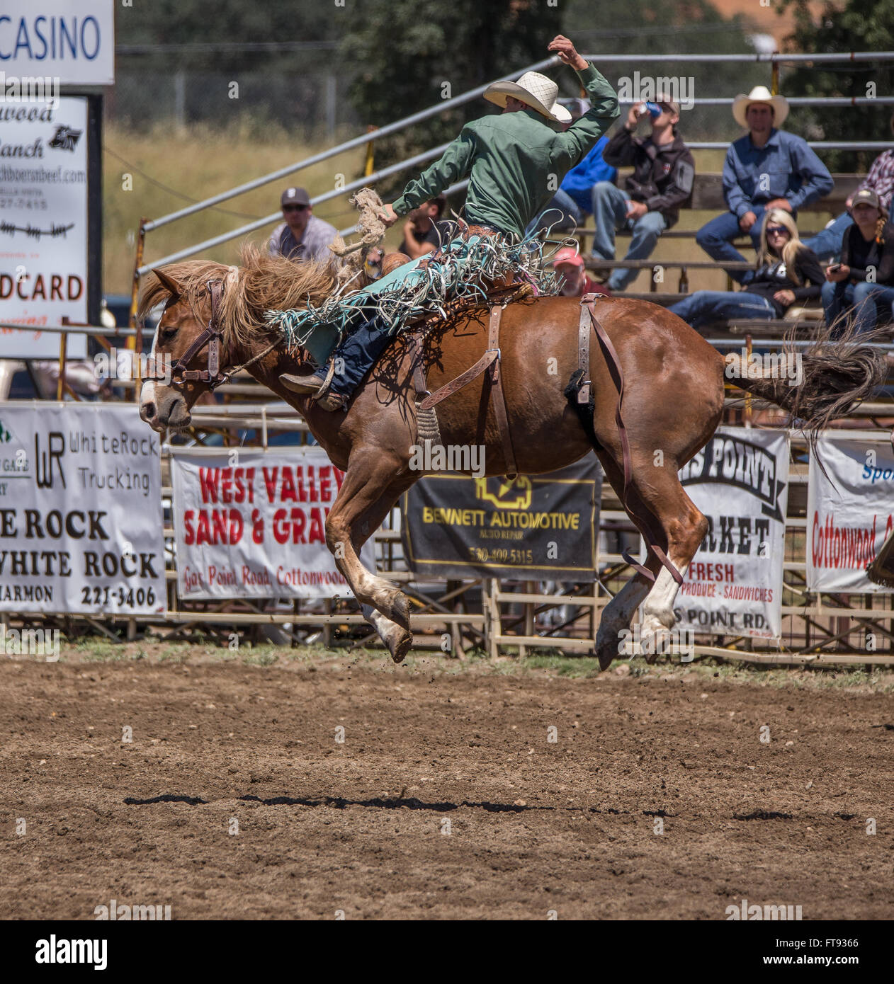 Bronco riding in a rodeo in Cottonwood, California Stock Photo - Alamy