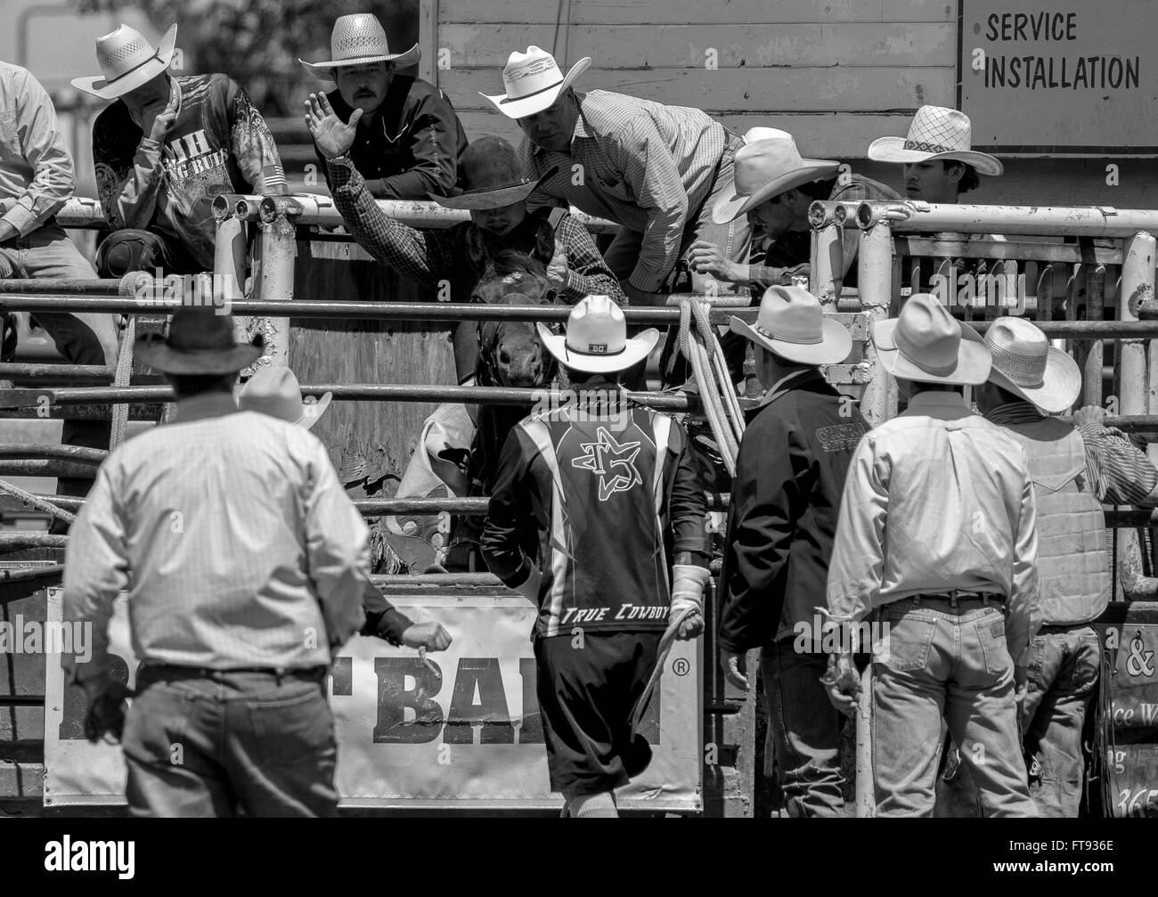 Bronc riding Black and White Stock Photos & Images - Alamy