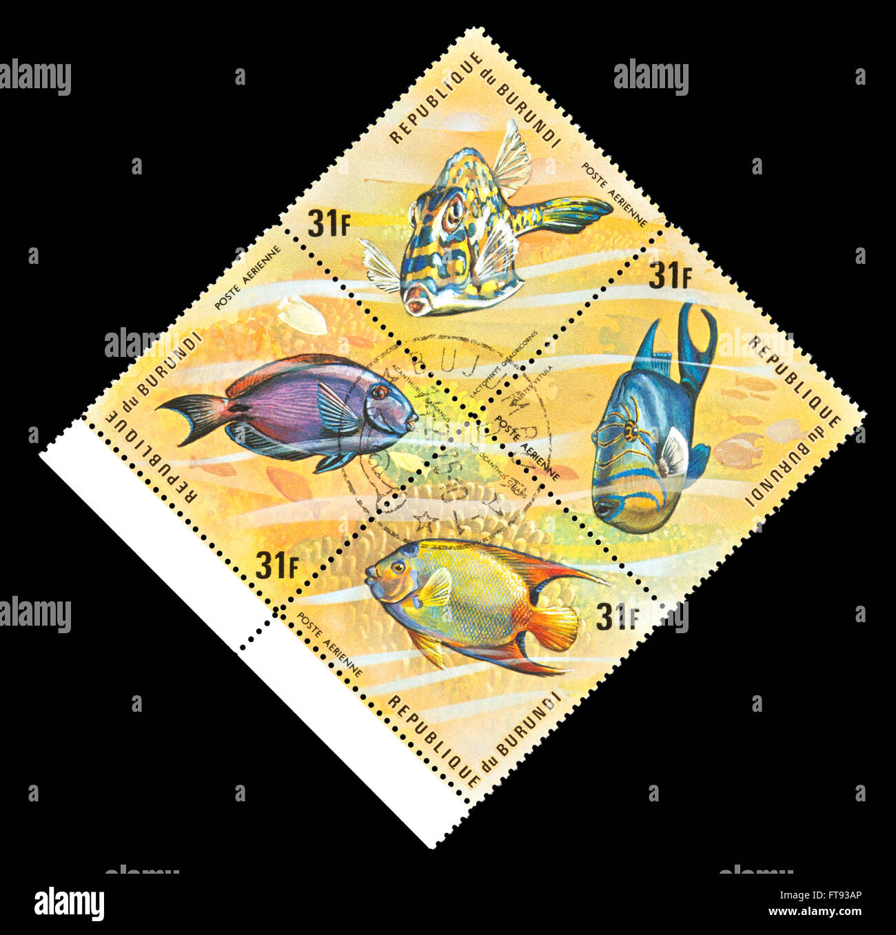 Depicting various species hi-res stock photography and images - Alamy