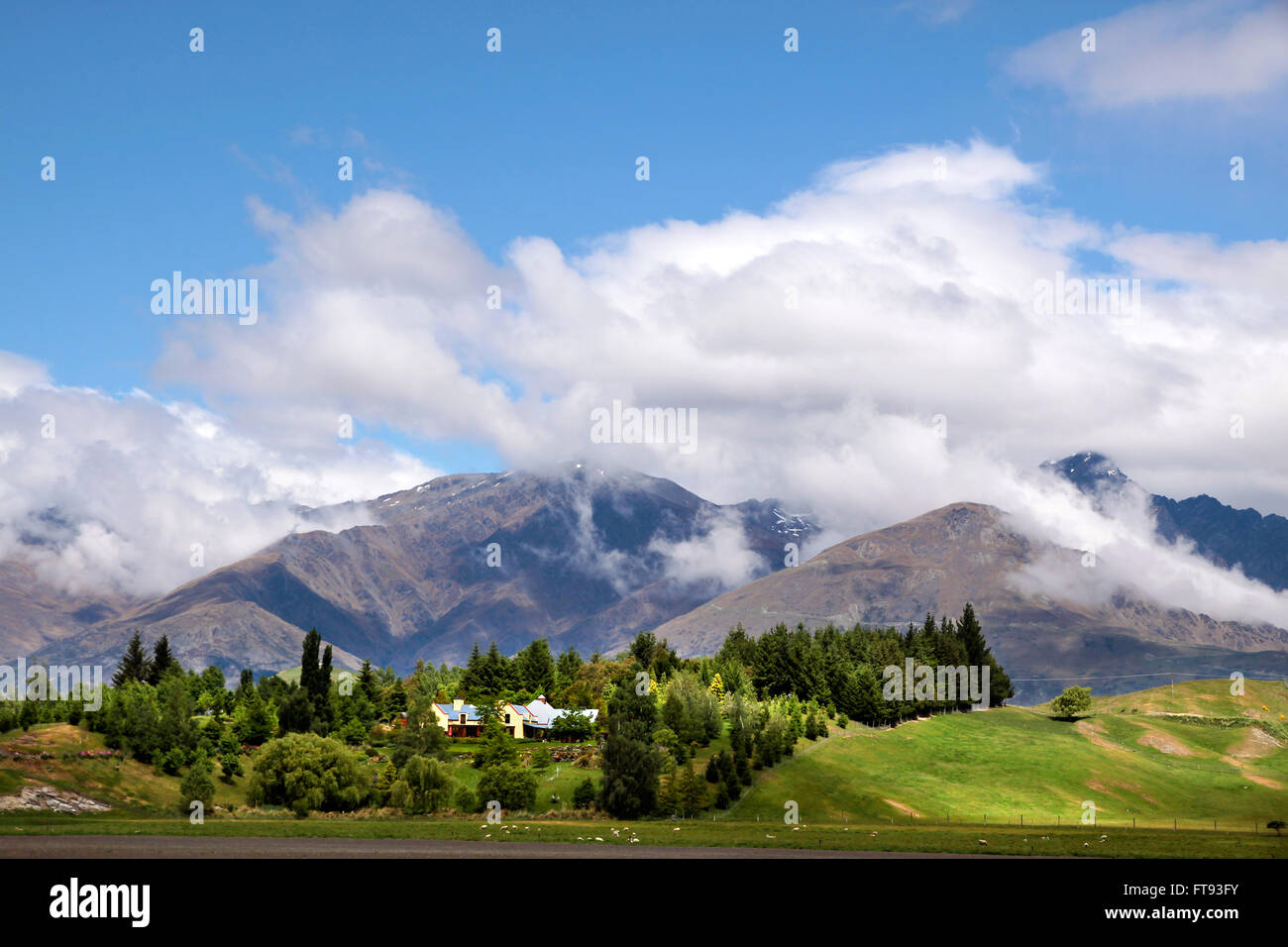 New zealand land hi-res stock photography and images - Alamy