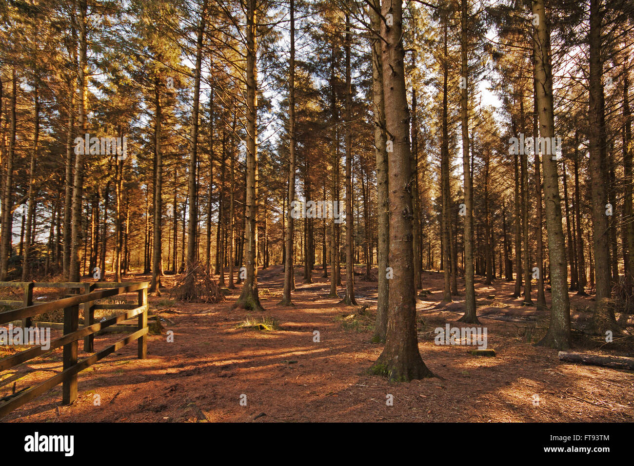 Lancashire winter sun hi-res stock photography and images - Alamy
