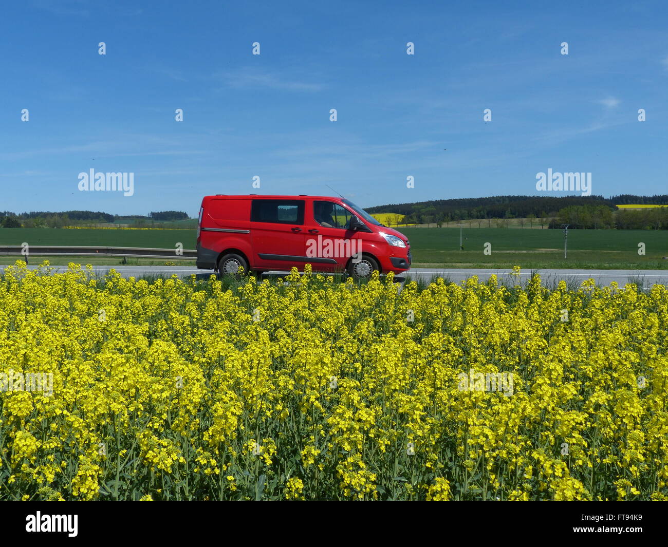 Red car passing by canola field Stock Photo - Alamy