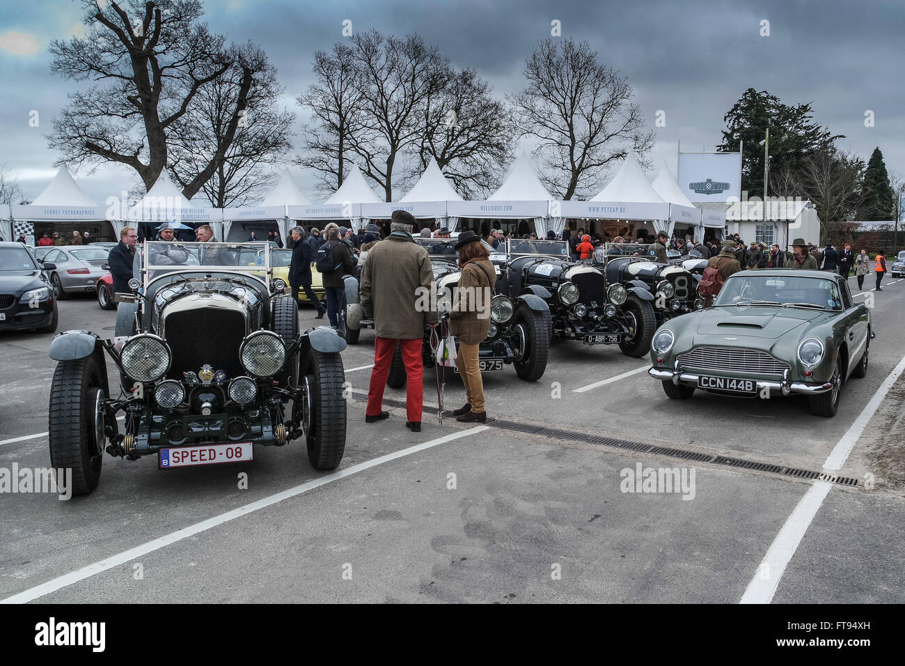Goodwood classic historic motor racing at the Goodwood Members Meeting ...