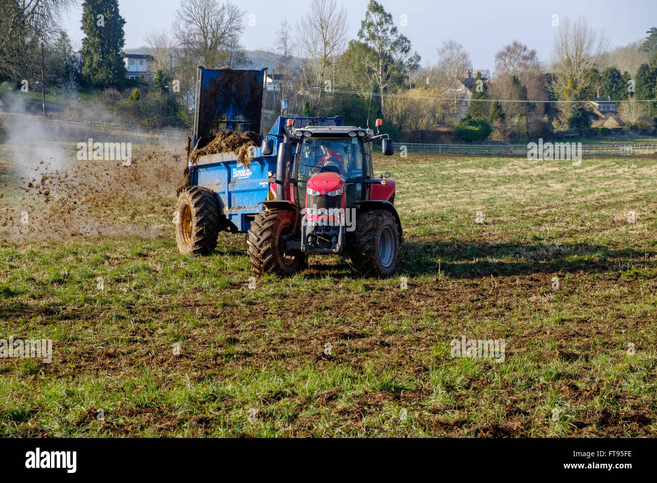 Tractor with trailer spreading manure on fiied in early spring prior to ...