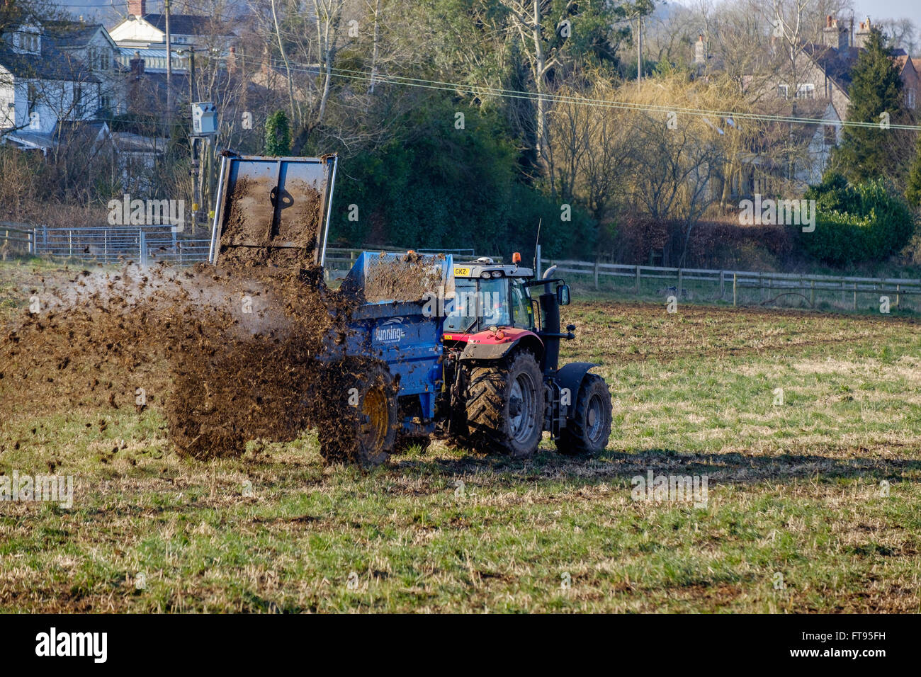 Tractor with trailer spreading manure on fiied in early spring prior to ...