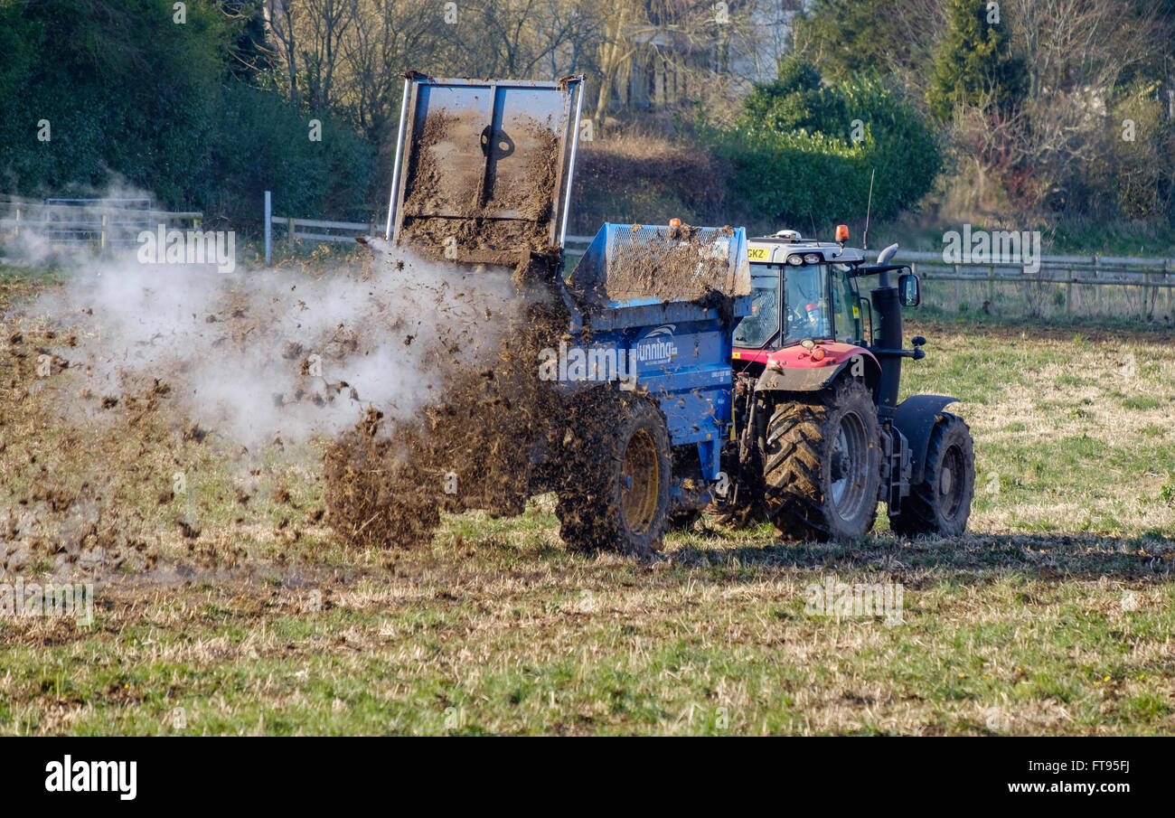 Tractor with trailer spreading manure on fiied in early spring prior to ...