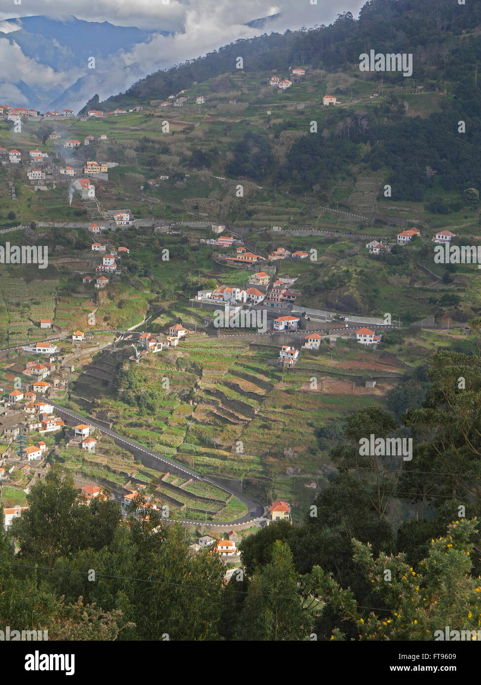 Maderia hi-res stock photography and images - Alamy