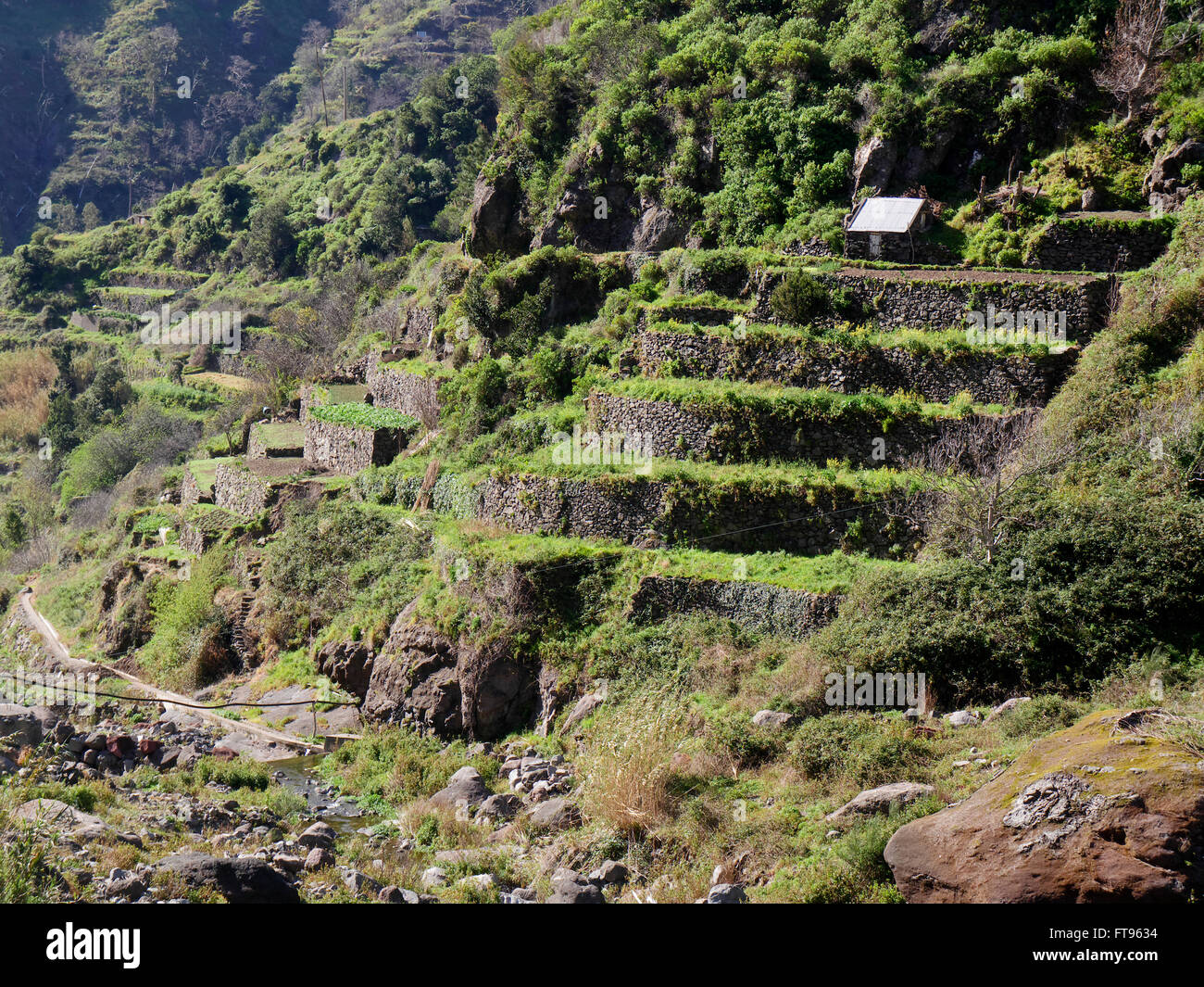 Terracing farming hi-res stock photography and images - Alamy
