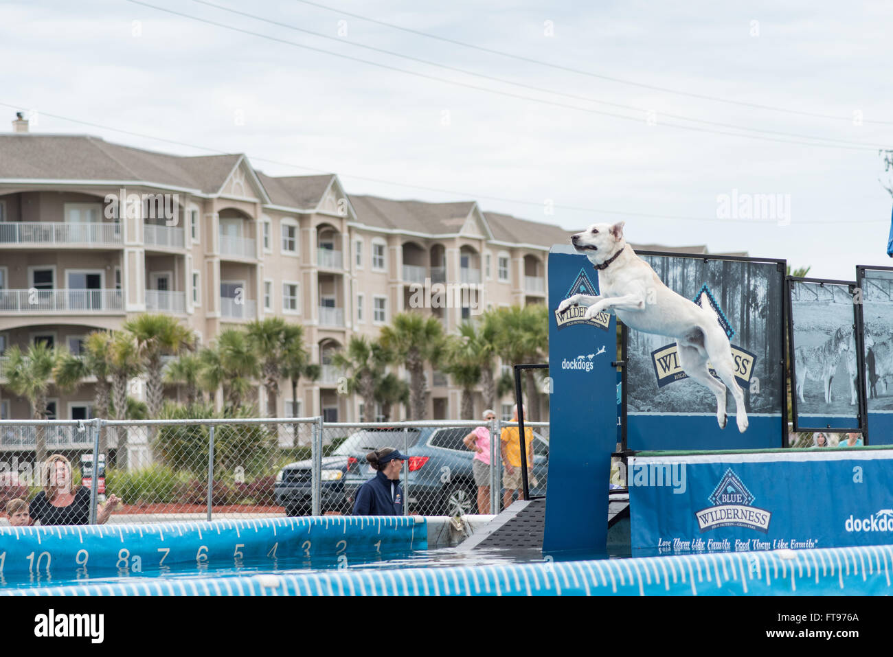 Fernandina Beach, USA. 25th March, 2016. Dogs across the USA compete in ...