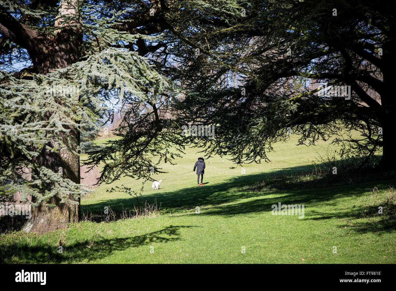 Oxfordshire, UK. 25th March, 2016. UK Weather: Man walking his dog on a ...