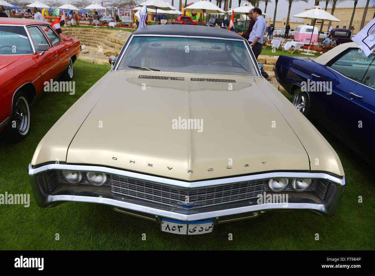 Cairo, Egypt. 25th Mar, 2016. Photo taken on March 25, 2016 shows the ...