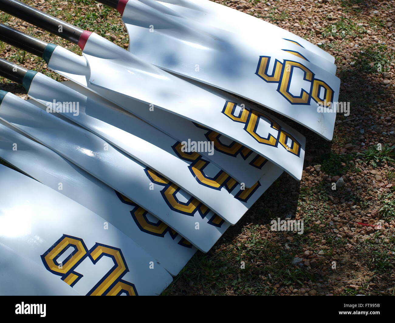 Tour Bus Driver Stock Photo - Alamy