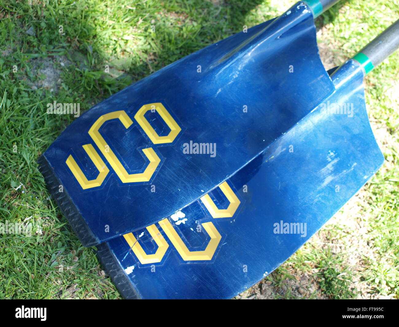 Tour Bus Driver Stock Photo - Alamy